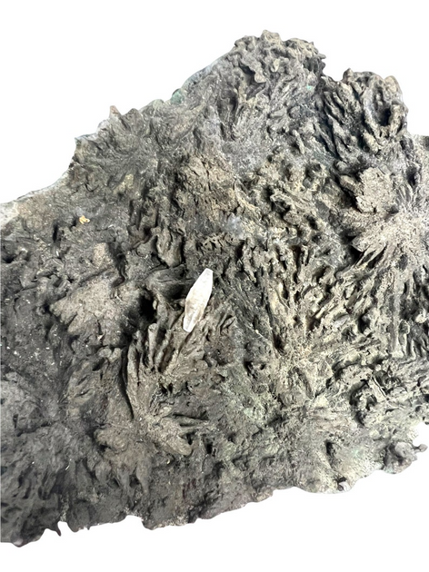 Calcite – FancyFossils